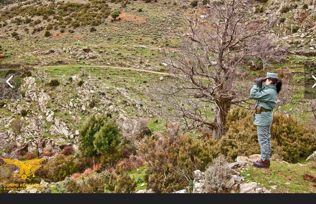 Donna dispersa a San Leonardo. Ritrovata dalla Forestale - Ornews ...