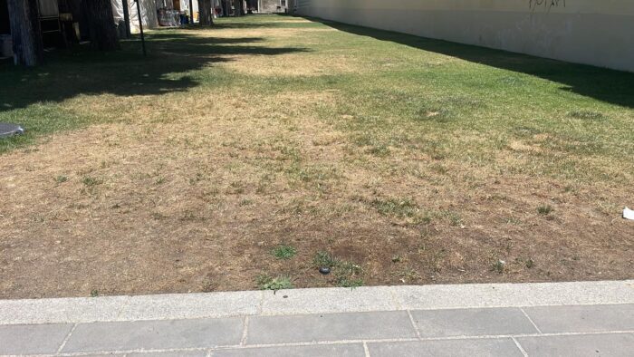 Piazza Manno. Dalla minoranza un'interrogazione sul degrado del prato ...
